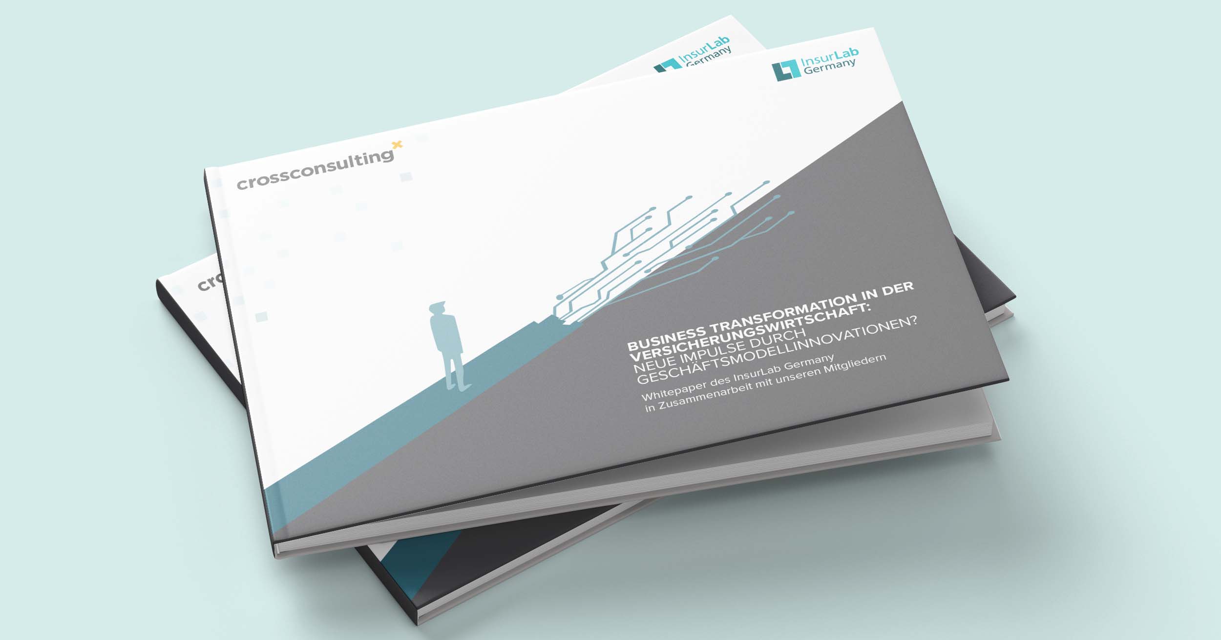 Whitepaper "Business Transformation in the Insurance Industry - New ...